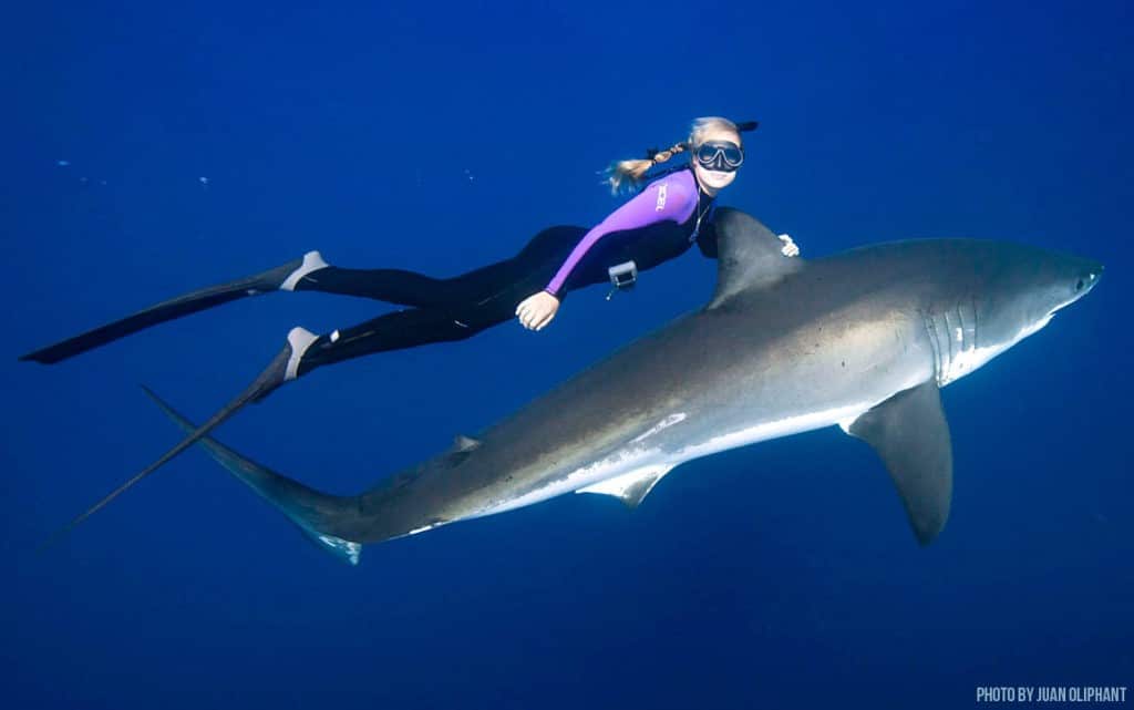 Marine Activist Ocean Ramsey Fights the War on Sharks | Millennial Magazine