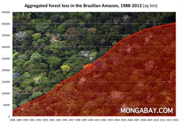 Roads of the Amazon: The Trans-Amazonian Highway | Millennial Magazine