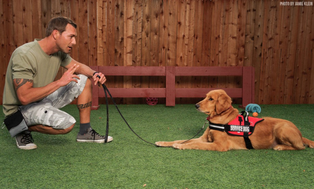 "Lucky Dog" Host, Brandon McMillan, Is Dog's Best Friend | Millennial ...