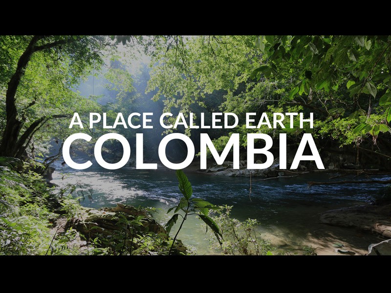 Millennial Magazine - Columbia - Millennial Magazine