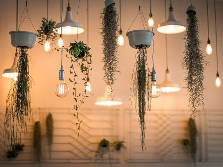 Millennials and Modern Rustic Design