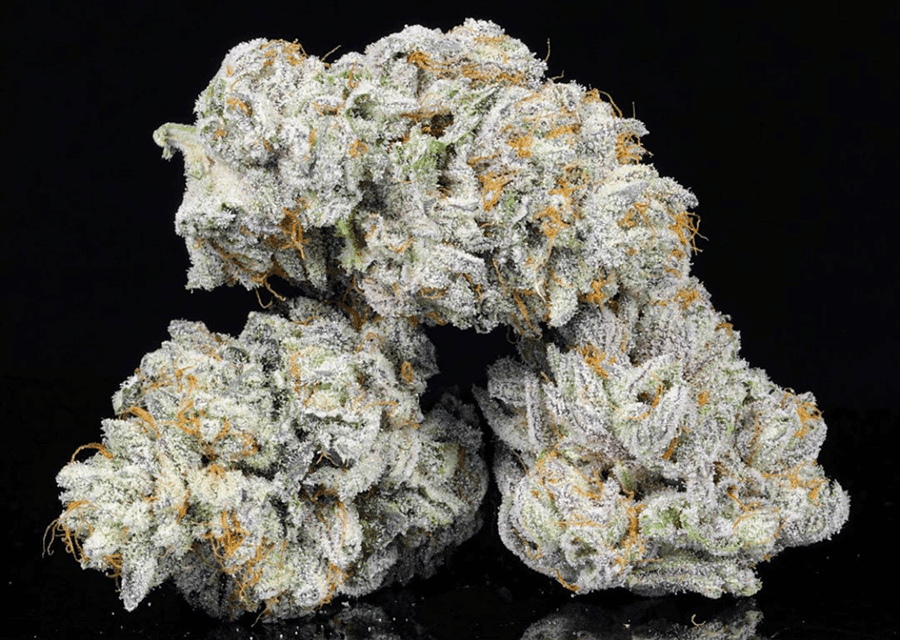 Millennial magazine Alien-Labs-f - Millennial Magazine