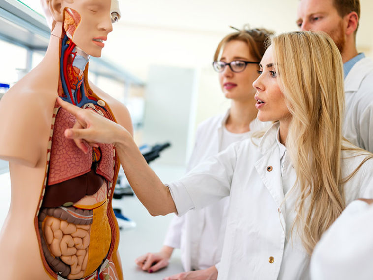 Millennial Magazine - details-about-bones - Millennial Magazine